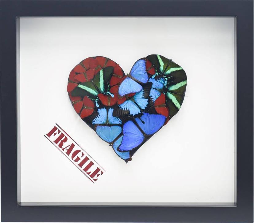 Butterfly Fragile Heart White - SN - Eden House of Art