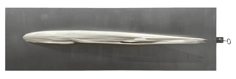 What Do You Believe - Jonty Hurwitz - Eden House of Art