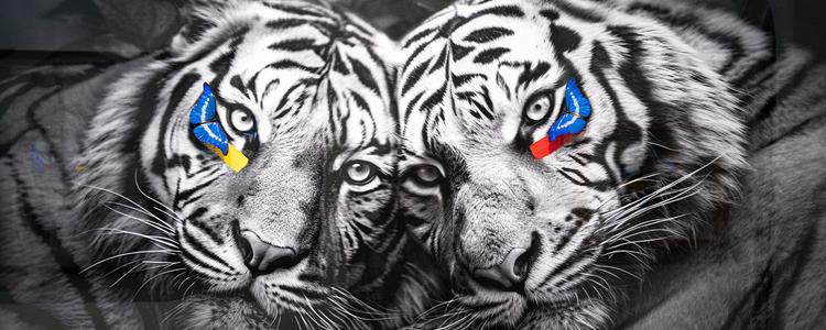 The Language of Light and Shadow: Visual Storytelling in Monochrome ...